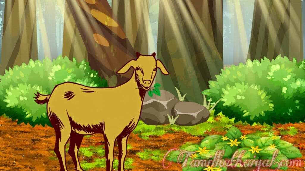 புத்திசாலி ஆடு | Clever Goat | Moral Stories In Tamil - Tamil kathaigal